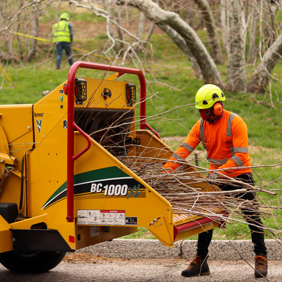 GREEN WASTE & DEBRIS MANAGEMENT | Mowbray's Tree Service